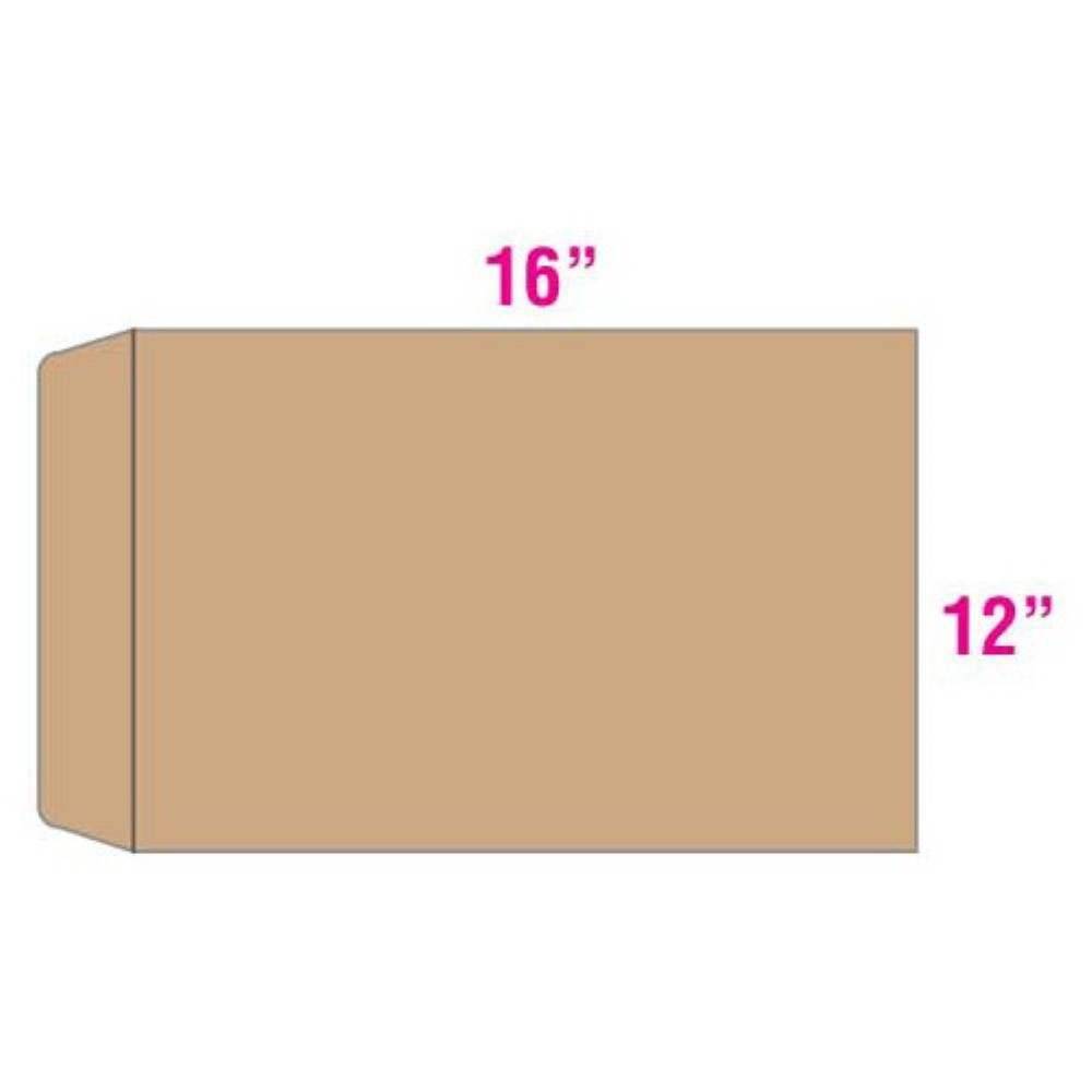 Brown Envelope 12" x 16"